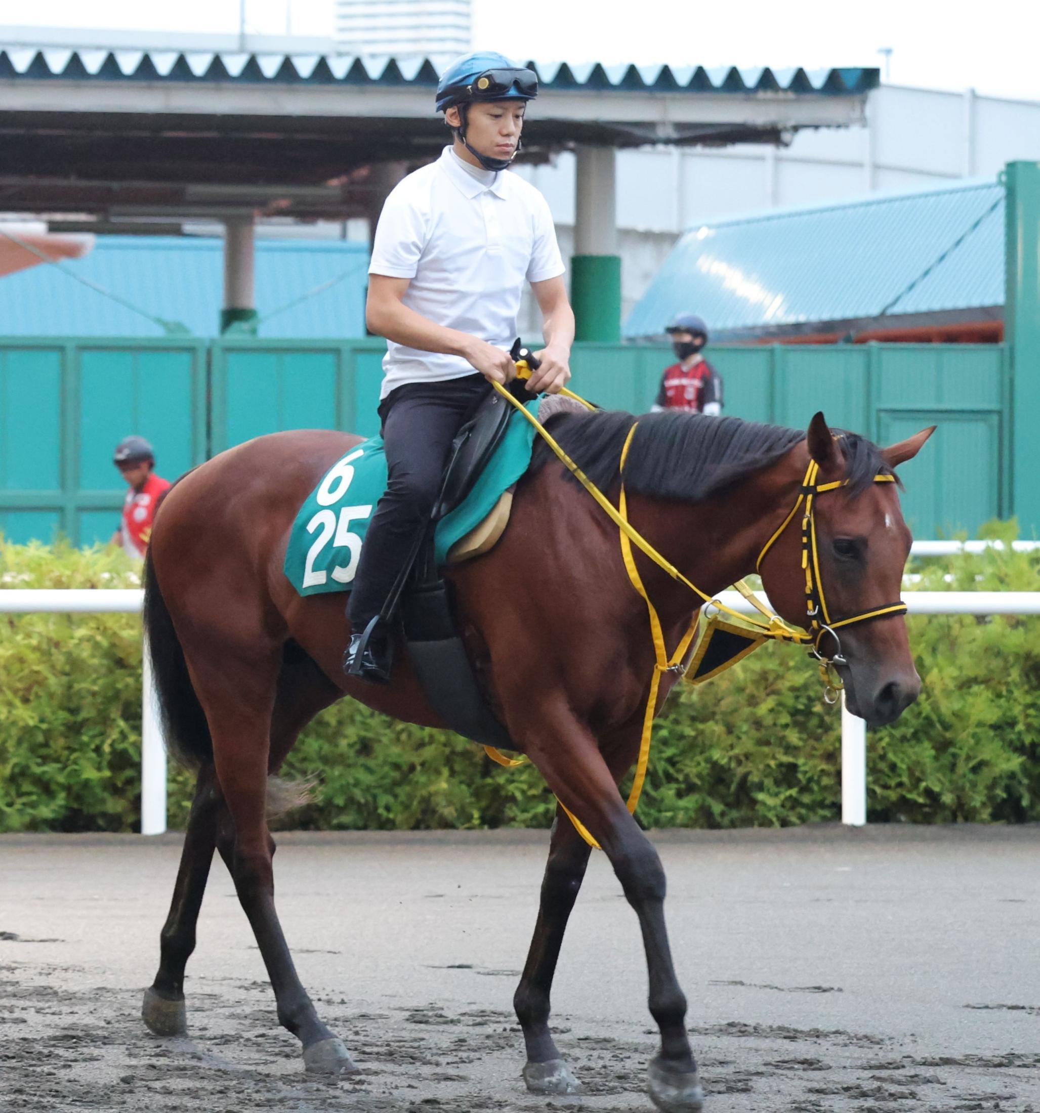 異例の事態発生 札幌5R新馬戦で馬の取り違えにより競走除外に JRA「何らかの原因で2頭が入れ違いになったのでは」（デイリースポーツ） - Yahoo!ニュース