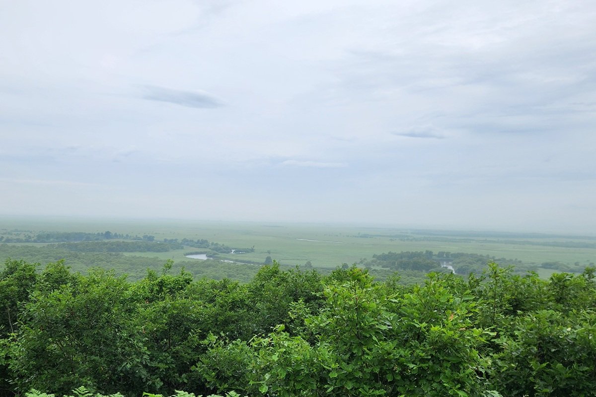 釧路湿原近くの道路を横断する「珍しい生物」 その正体に「なんて尊い」「貴重な映像」（LIMO） - Yahoo!ニュース