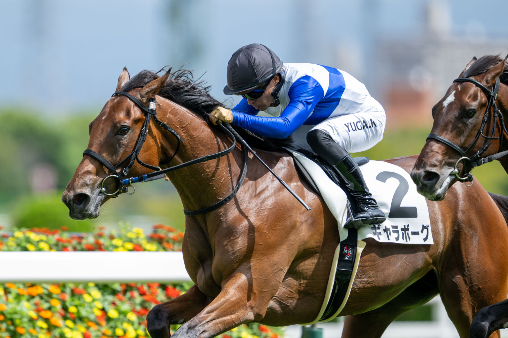 【阪神3R】良血ギャラボーグが初勝利…ダノンスコーピオン全妹（競馬のおはなし） - Yahoo!ニュース