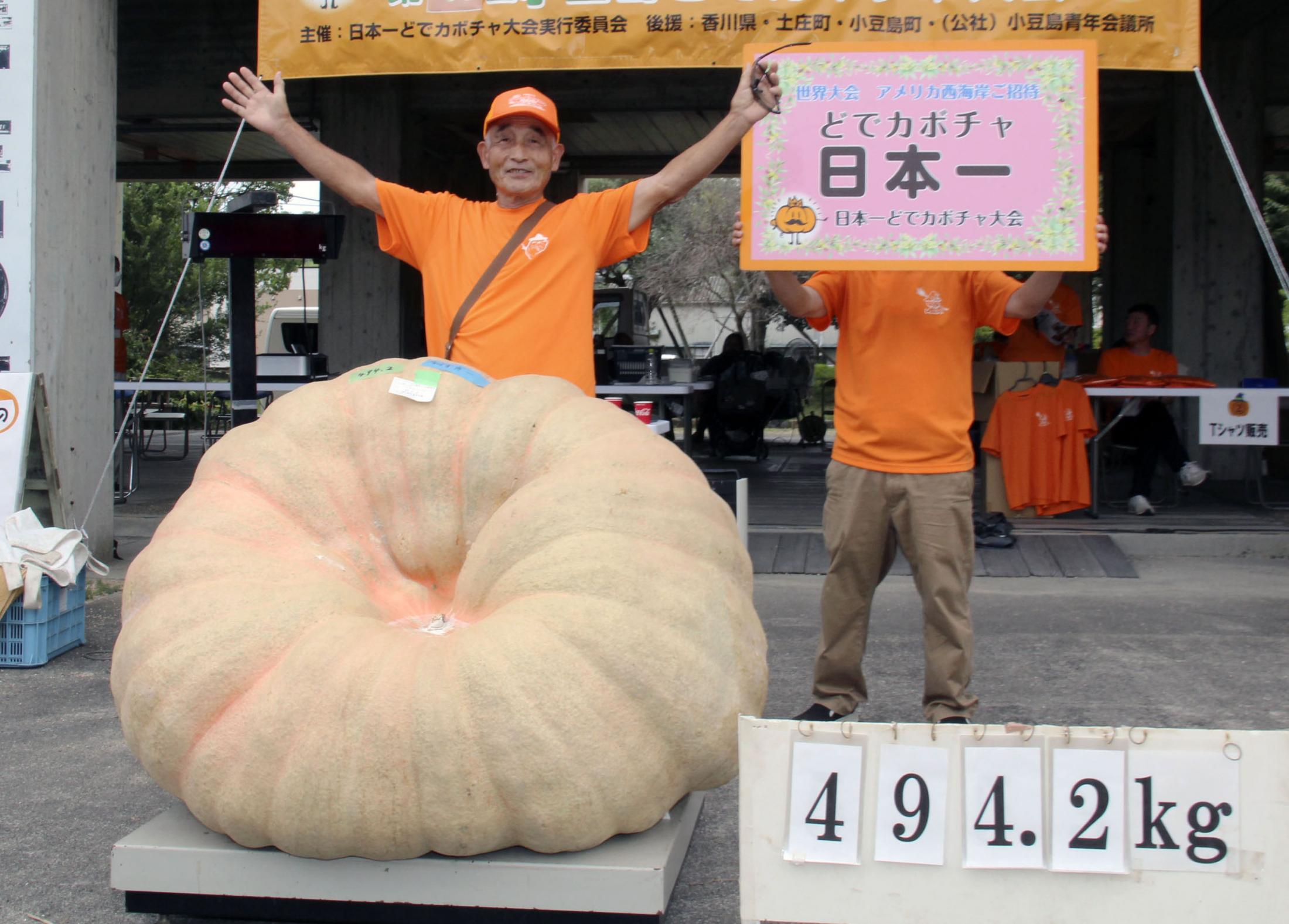 優勝は千葉県の494キロ 小豆島で巨大カボチャ大会（共同通信） - Yahoo!ニュース