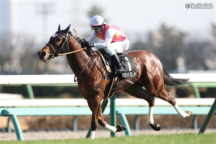 【スプリンターズS】出走馬格付けバトル！並み居る強豪を相手に若きスプリンターがG1戴冠へ挑む！（競馬ラボ） - Yahoo!ニュース