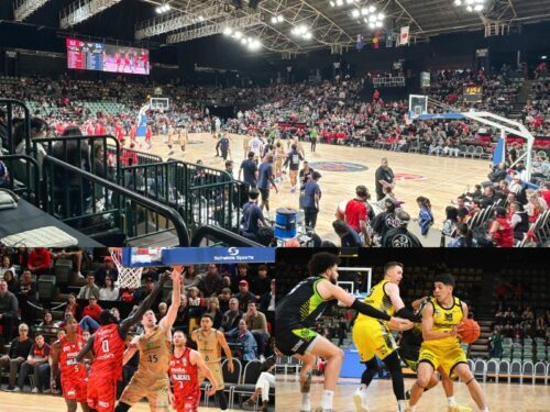 琉球・SR渋谷がNBL挑戦…活発化するBリーグ・NBL交流の舞台裏（バスケットボールキング） - Yahoo!ニュース