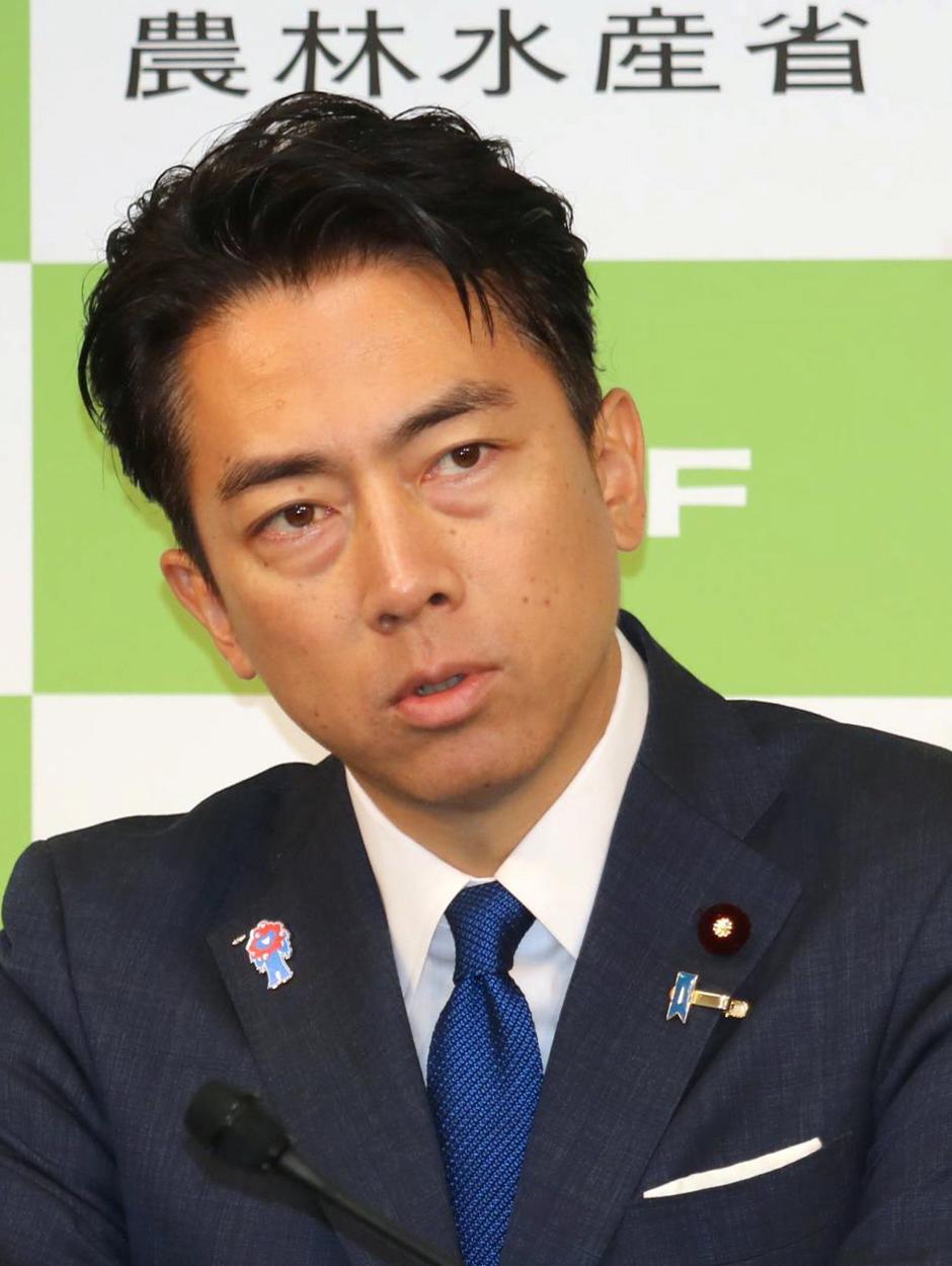 【自民党総裁選】政権安定度は「林＞茂木＞高市＞小林＞小泉」な理由／倉山満（週刊SPA!） - Yahoo!ニュース