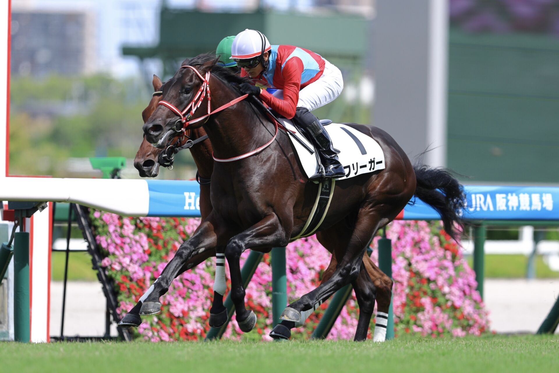 【新馬/阪神5R】コントレイル産駒 フリーガーがデビューV…3億円ホースのイエッサーは最下位（競馬のおはなし） - Yahoo!ニュース