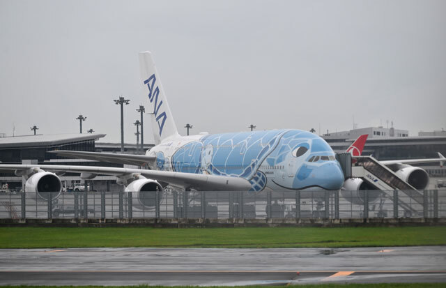 ANA A380初号機が運航復帰 ホノルルで貨物コンテナ接触、16日ぶり（Aviation Wire） - Yahoo!ニュース