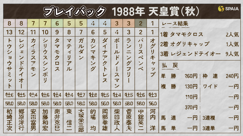 【天皇賞（秋）】古馬の意地を見せたタマモクロスがオグリキャップを撃破 芦毛対決に沸いた1988年をプレイバック（SPAIA AI競馬） - Yahoo!ニュース