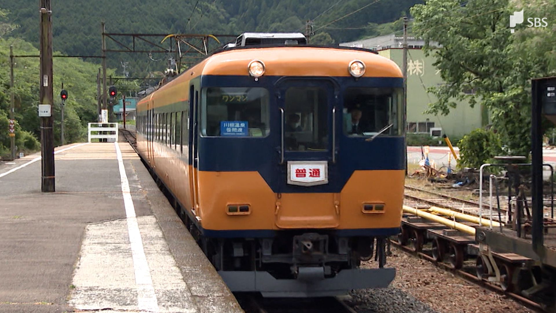 大井川鉄道・井川線で倒木 撤去作業完了まで閑蔵駅〜井川駅間で運転見合わせ=静岡県・大井川鉄道（静岡放送（SBS）） - Yahoo!ニュース