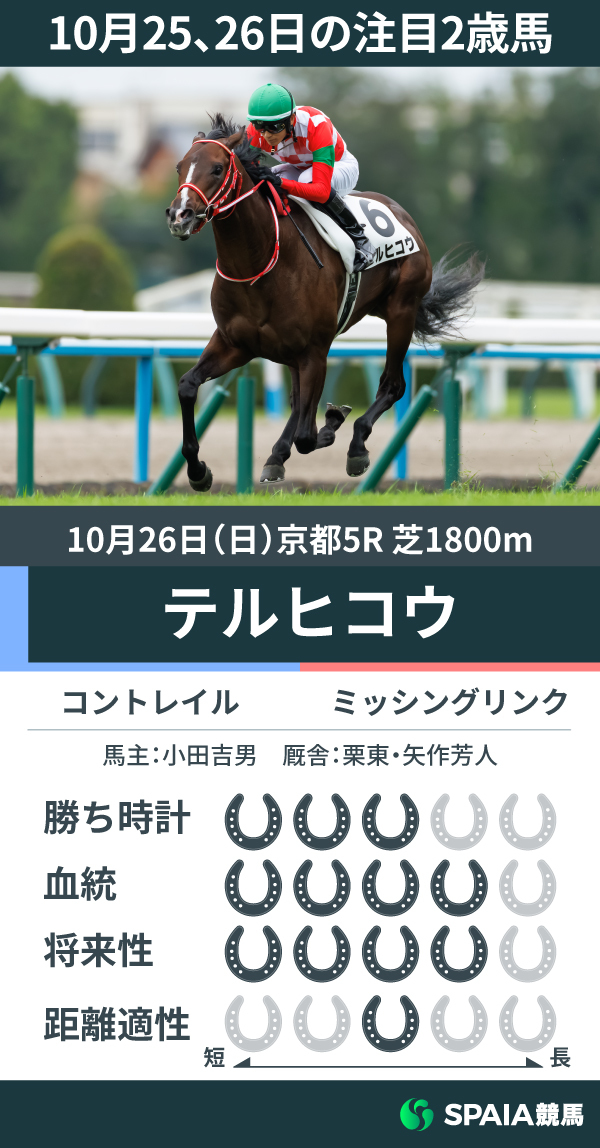 【注目2歳馬】ラスト10.8-11.3で逃げ切ったレースセンスを評価 コントレイル産駒テルヒコウ（SPAIA AI競馬） - Yahoo!ニュース