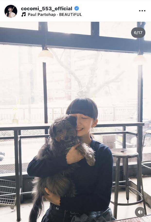 「犬会。」Cocomi、愛犬とカフェでのひとときをシェア！和やかなプライベート時間明かす（スポーツ報知） - Yahoo!ニュース