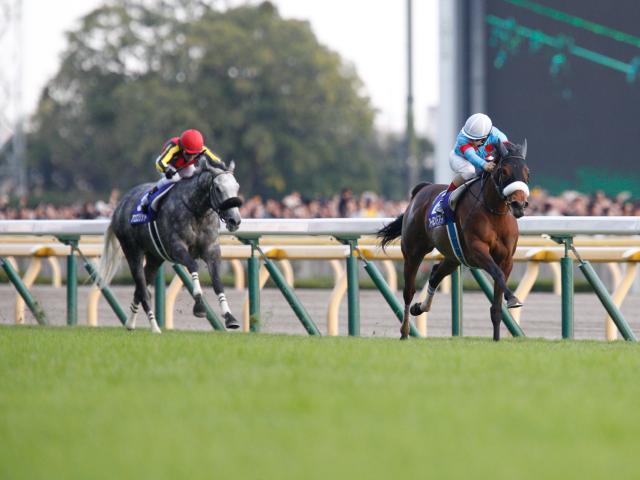 【天皇賞(秋)】豪華メンバーが集う一戦 もっとも多くのGI馬が揃った年は？（netkeiba） - Yahoo!ニュース