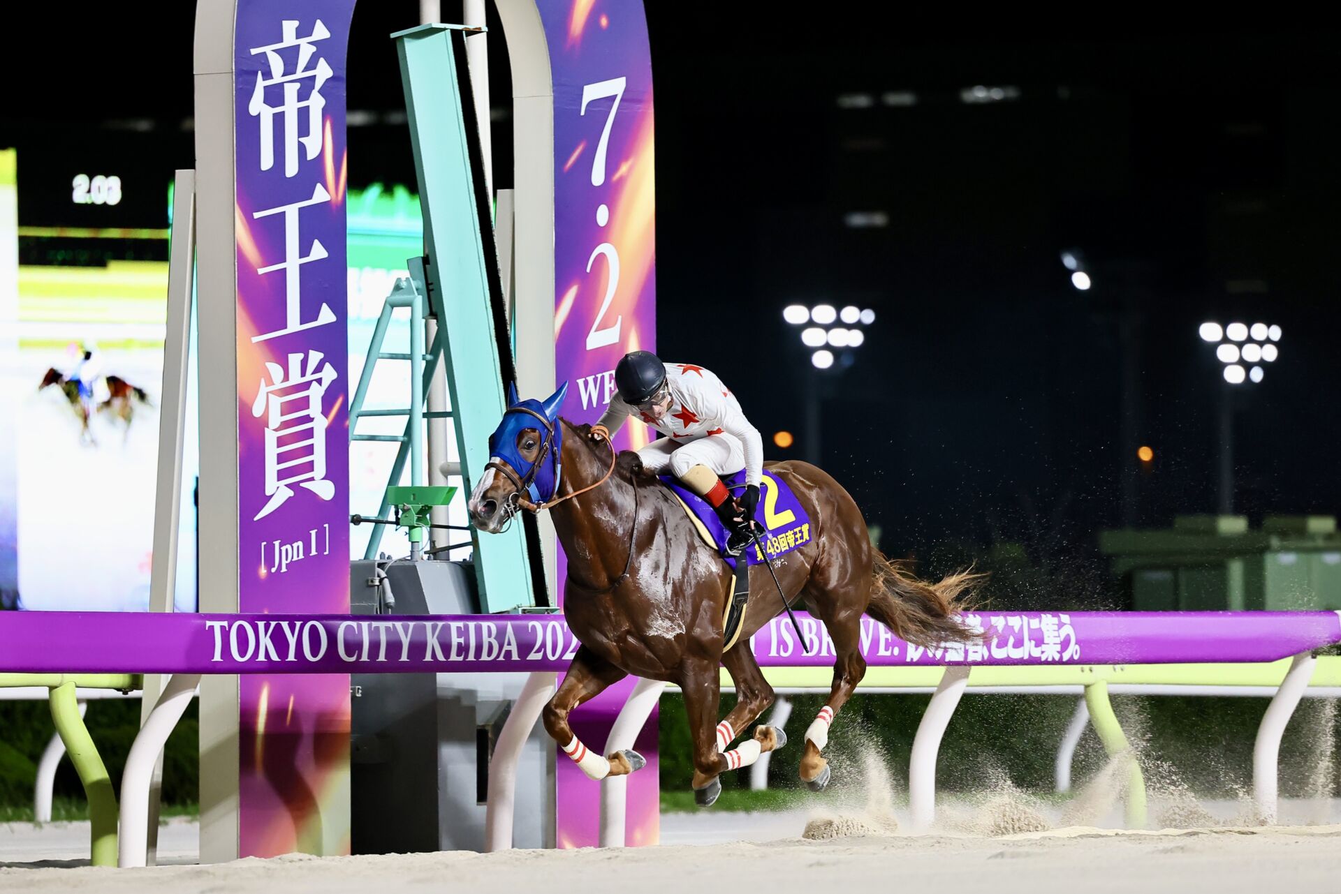 【JBCクラシック】ミッキーファイトは8枠13番へ（競馬のおはなし） - Yahoo!ニュース