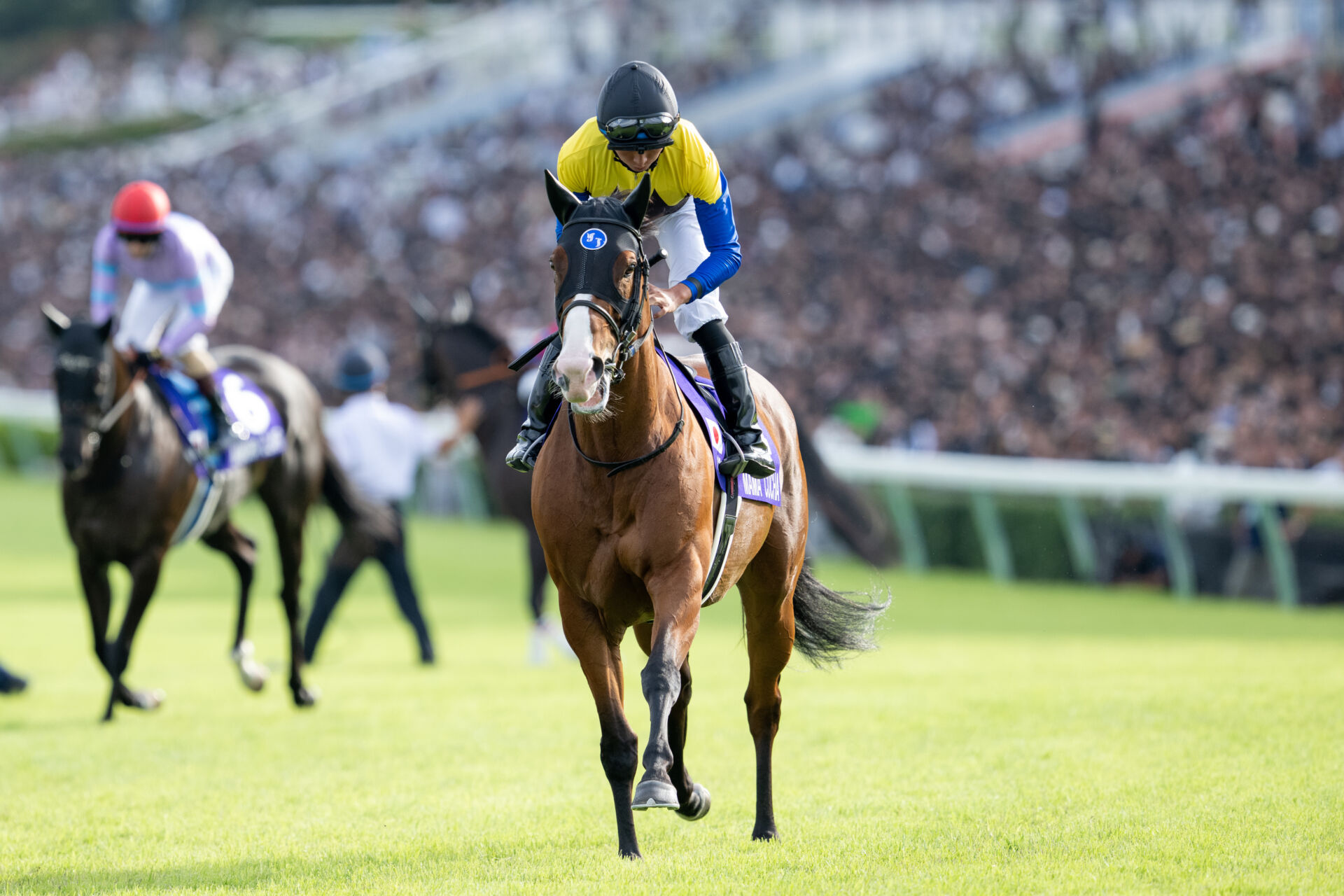 【JBCスプリント】初ダート・ママコチャは8枠13番へ（競馬のおはなし） - Yahoo!ニュース