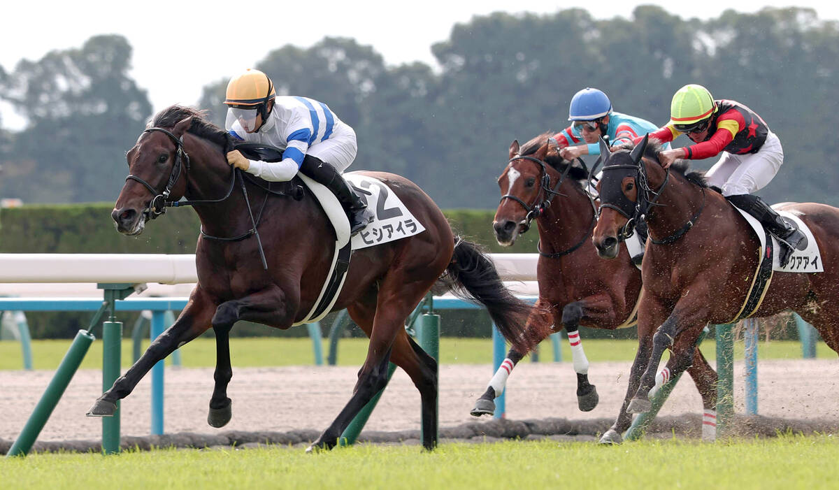 【京都5R・2歳新馬】ヒシアイラが調教通りの速力で新馬勝ち 荻野極騎手「途中からは上手に走れていました」（馬トク報知） - Yahoo!ニュース