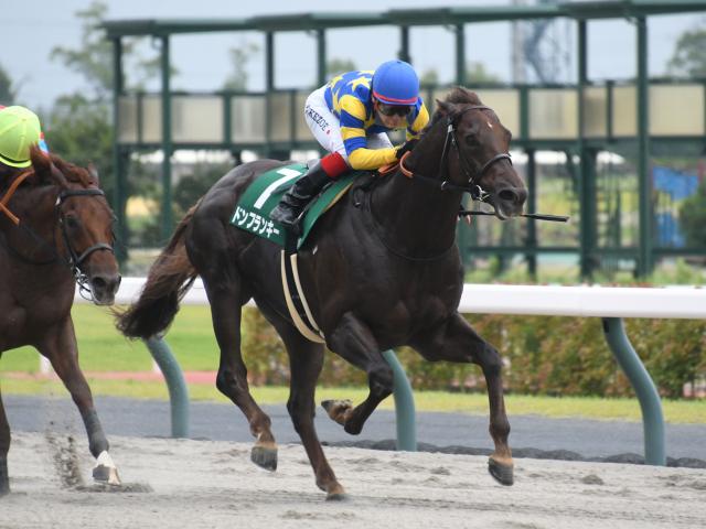 【船橋・JBCスプリント注目馬】ダ1000mで争われる電撃JpnI戦 究極のスピード勝負を制すのは（netkeiba） - Yahoo!ニュース