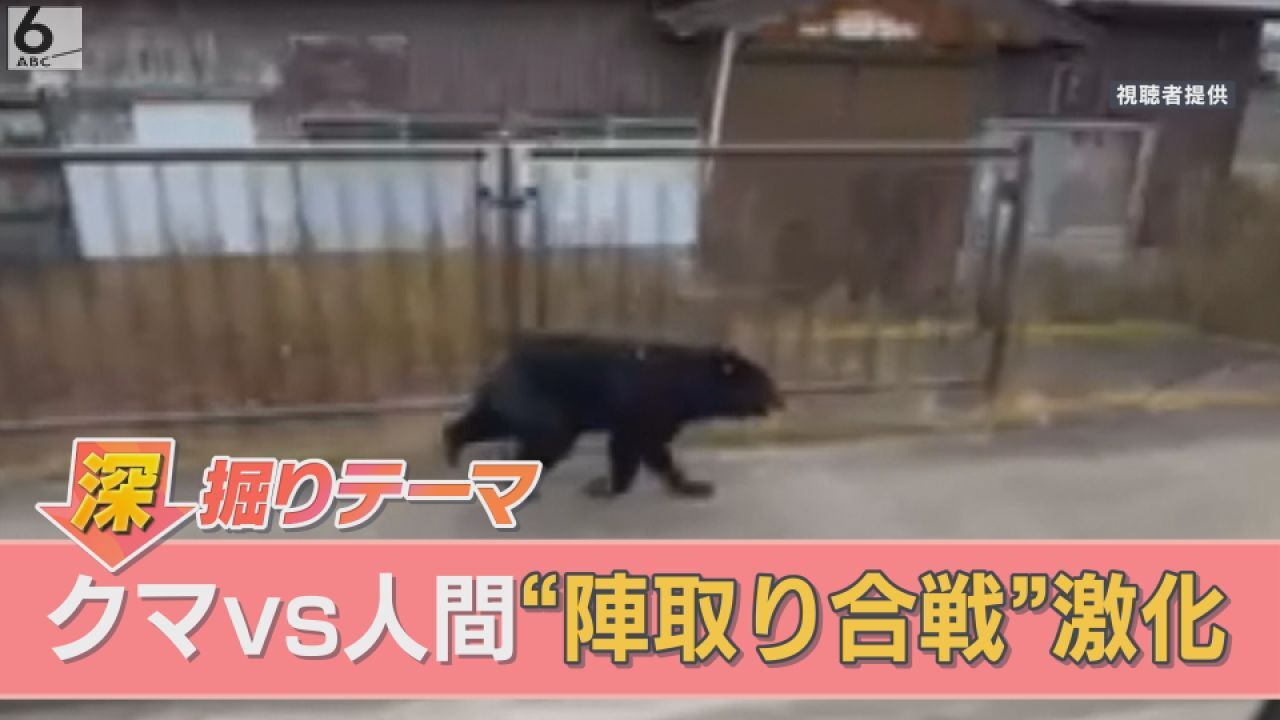 熊・・ 過保護の数十年 特にこの5年余... / sin358さんのモーメント | YAMAP / ヤマップ