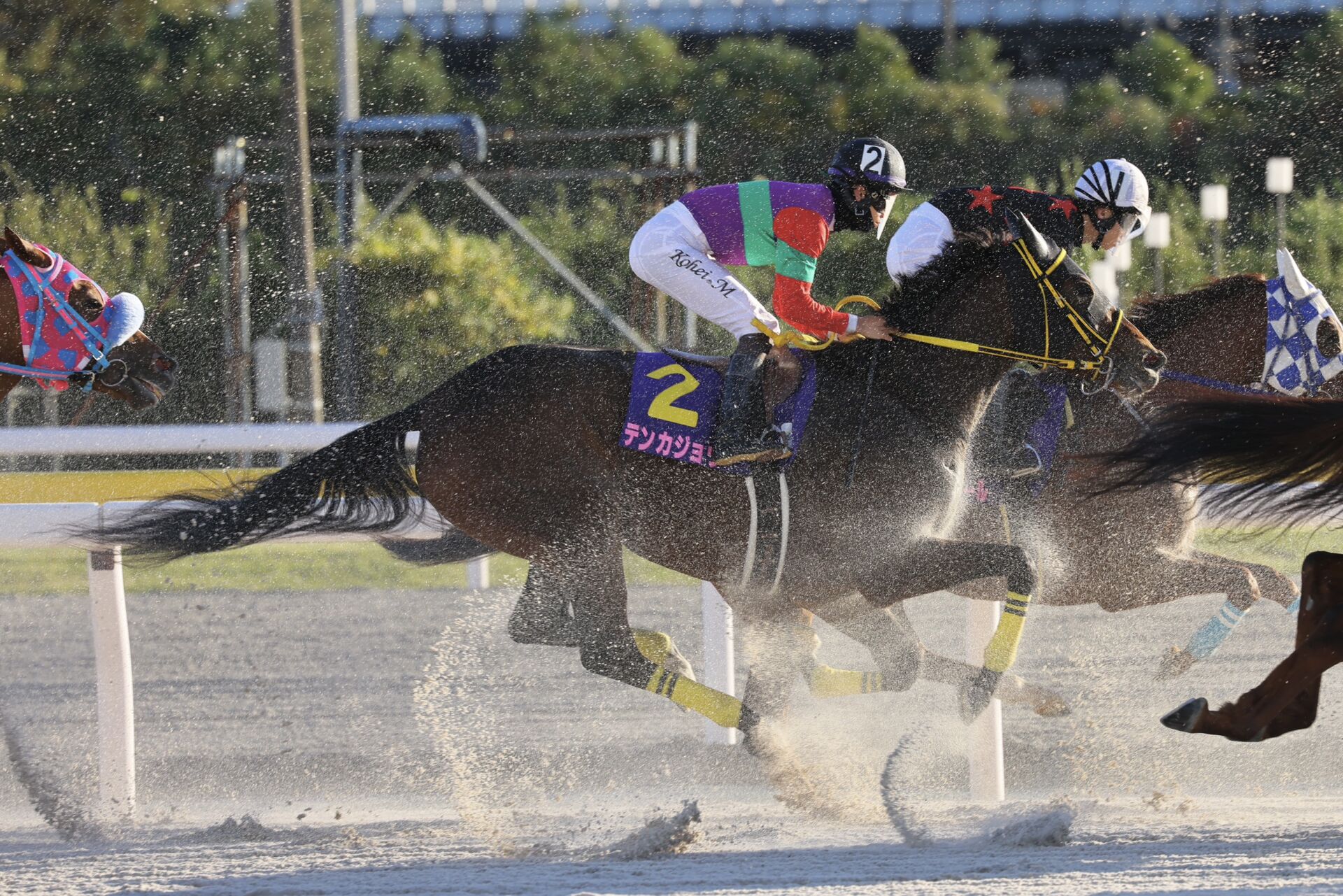 【JBCレディスクラシック】松山「きょうもゲートが響いた」テンカジョウは追い込むも2着まで（競馬のおはなし） - Yahoo!ニュース