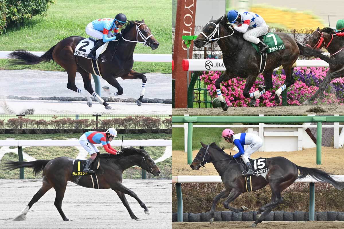 【みやこS展望】JBC除外組、復権を図る実績馬、地力強化著しい上がり馬がGⅠ切符を懸けて激突！（東スポ競馬） - Yahoo!ニュース