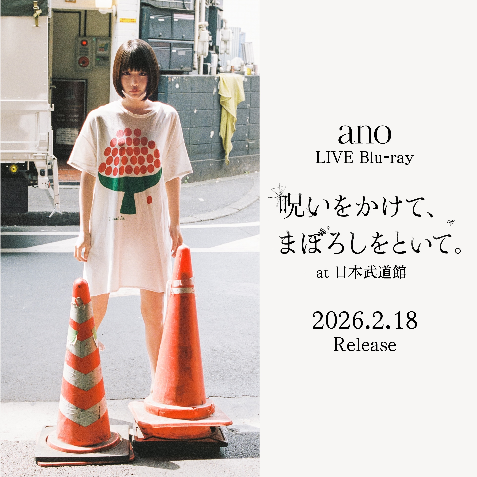 ano、初の日本武道館ワンマンライブの模様などを収めた映像作品の発売決定（ぴあ） - Yahoo!ニュース