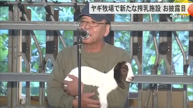 今帰仁村のやんばる牧場が新たな搾乳施設でヤギミルク増産へ 地域の人にお披露目（沖縄テレビOTV） - Yahoo!ニュース