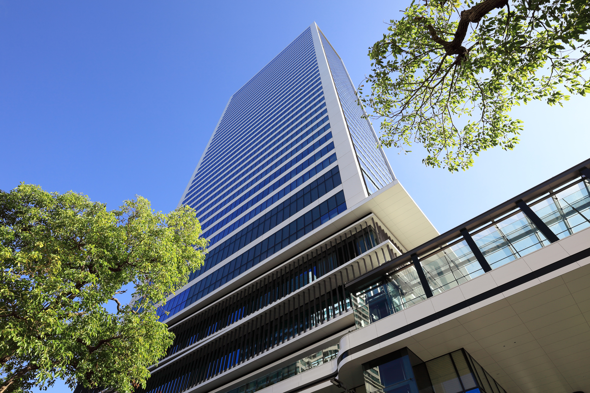 ソフトバンクグループが過去最高益、OpenAIに次ぐ投資分野「フィジカルAI」とは？（MONEY PLUS） - Yahoo!ニュース