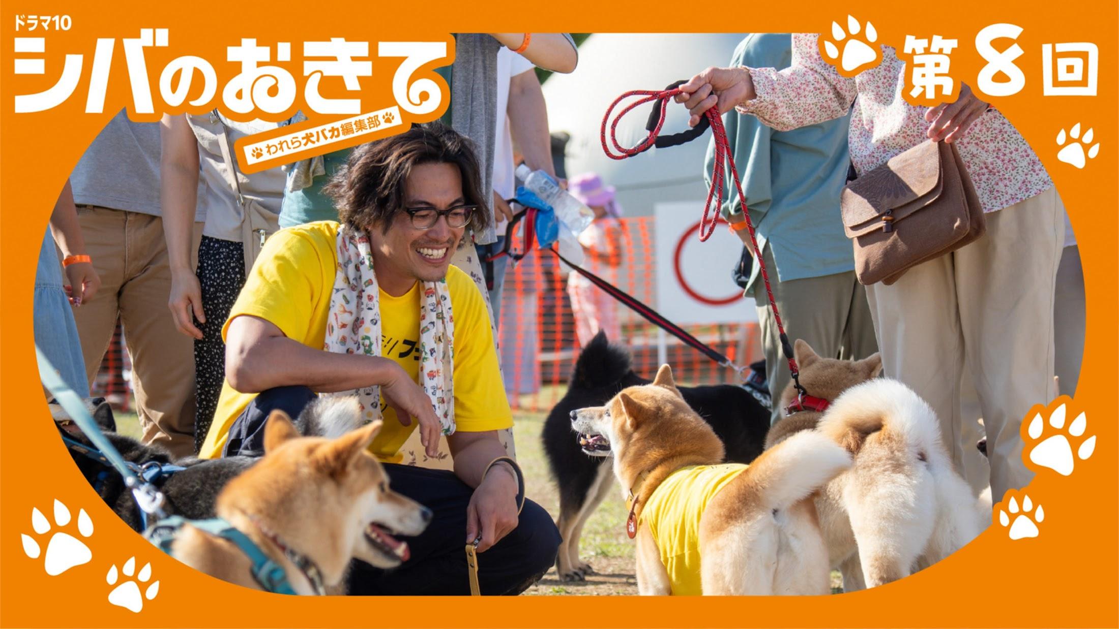 ＜シバのおきて＞NHKドラマ10 次週は「シバONEフェスだワン！」 福助人気の高まりを受け…あらすじ＆場面カット（MANTANWEB） - Yahoo!ニュース