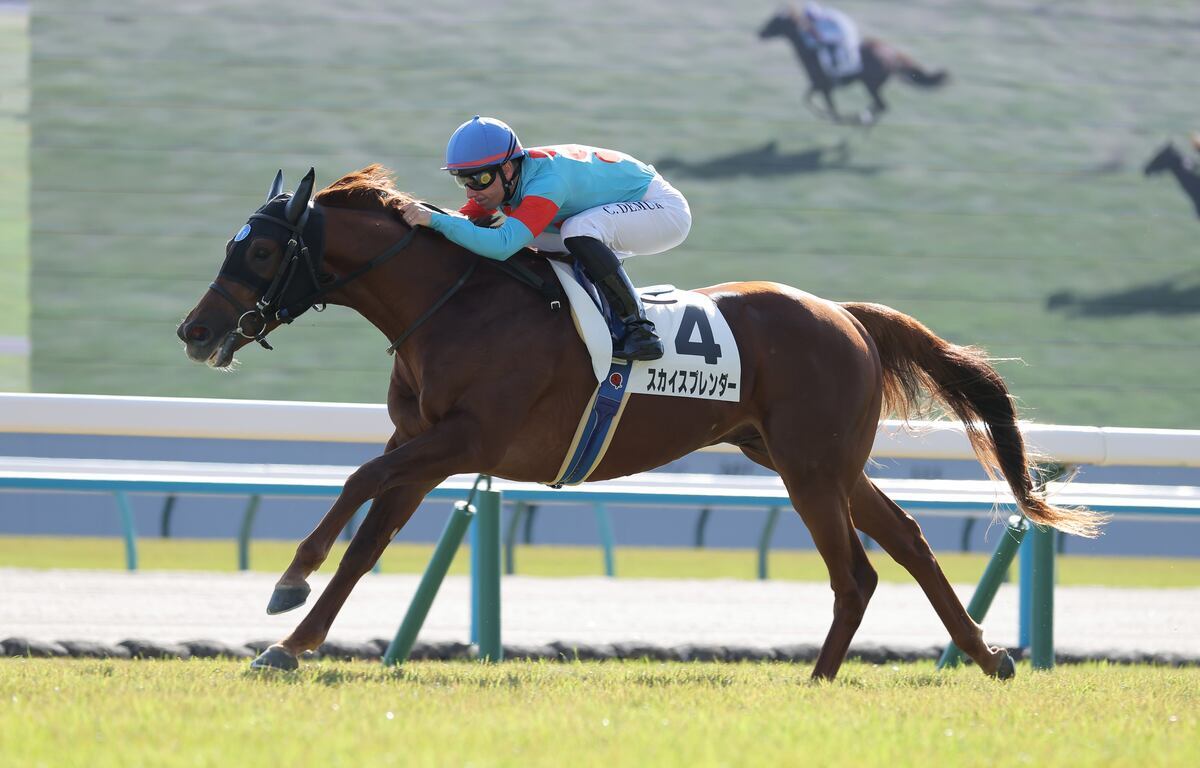 【2歳新馬・京都5R】スカイスプレンダーが人気に応えて快勝！（サンケイスポーツ） - Yahoo!ニュース