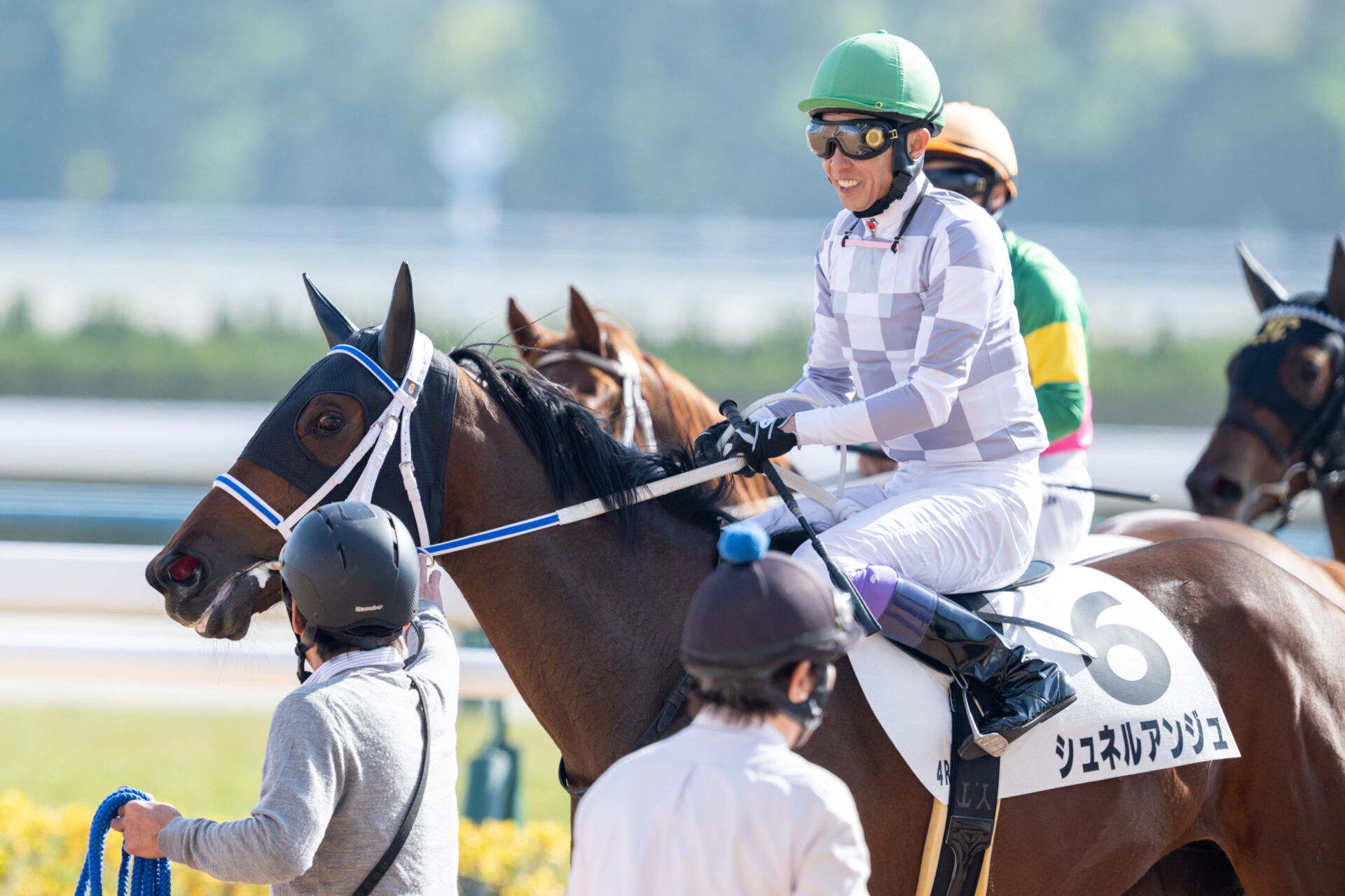 【新馬/京都4R】武豊「素直な馬」シュネルアンジュがデビューV（競馬のおはなし） - Yahoo!ニュース