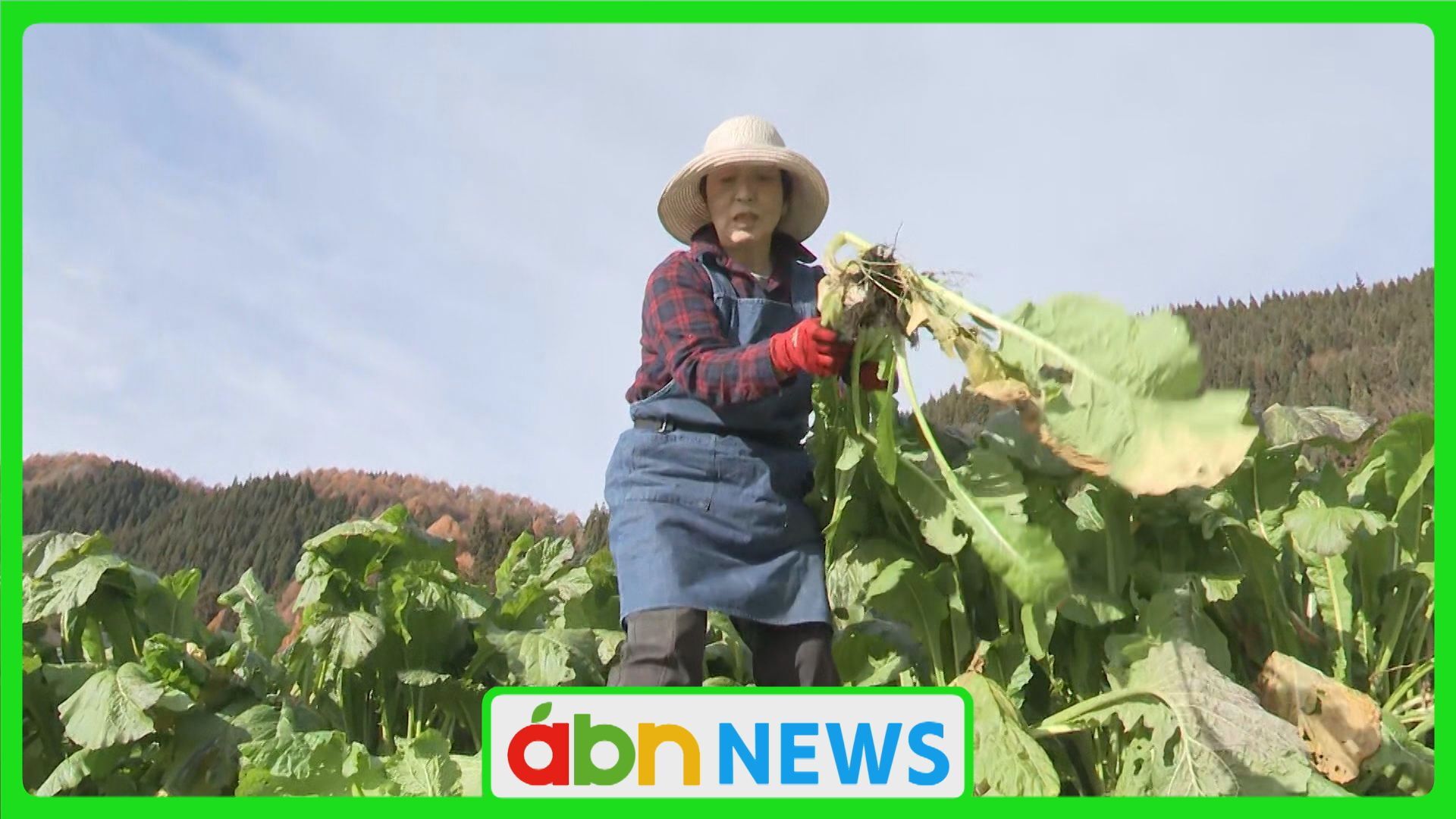 「40㎏買いました 安いのでは」 物価高騰に苦しむ家計を支援〝野沢菜採りツアー〟【長野市】（abn長野朝日放送） - Yahoo!ニュース