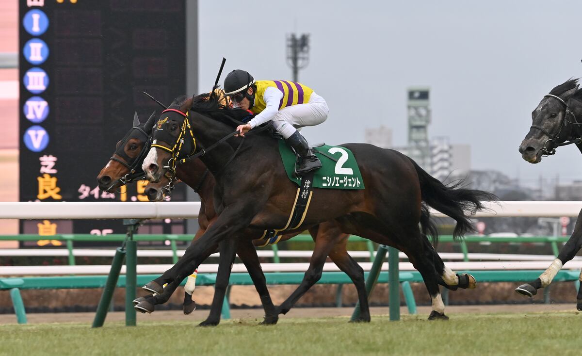 【3歳以上次走報】ニシノエージェントは中山金杯で戦線復帰へ（サンケイスポーツ） - Yahoo!ニュース
