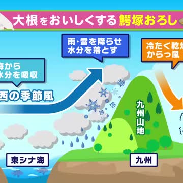 11月28日（金）宮崎の天気「 黄砂は朝まで 日差し届くも 空気はヒンヤリ」（宮崎ニュースUMK） - Yahoo!ニュース