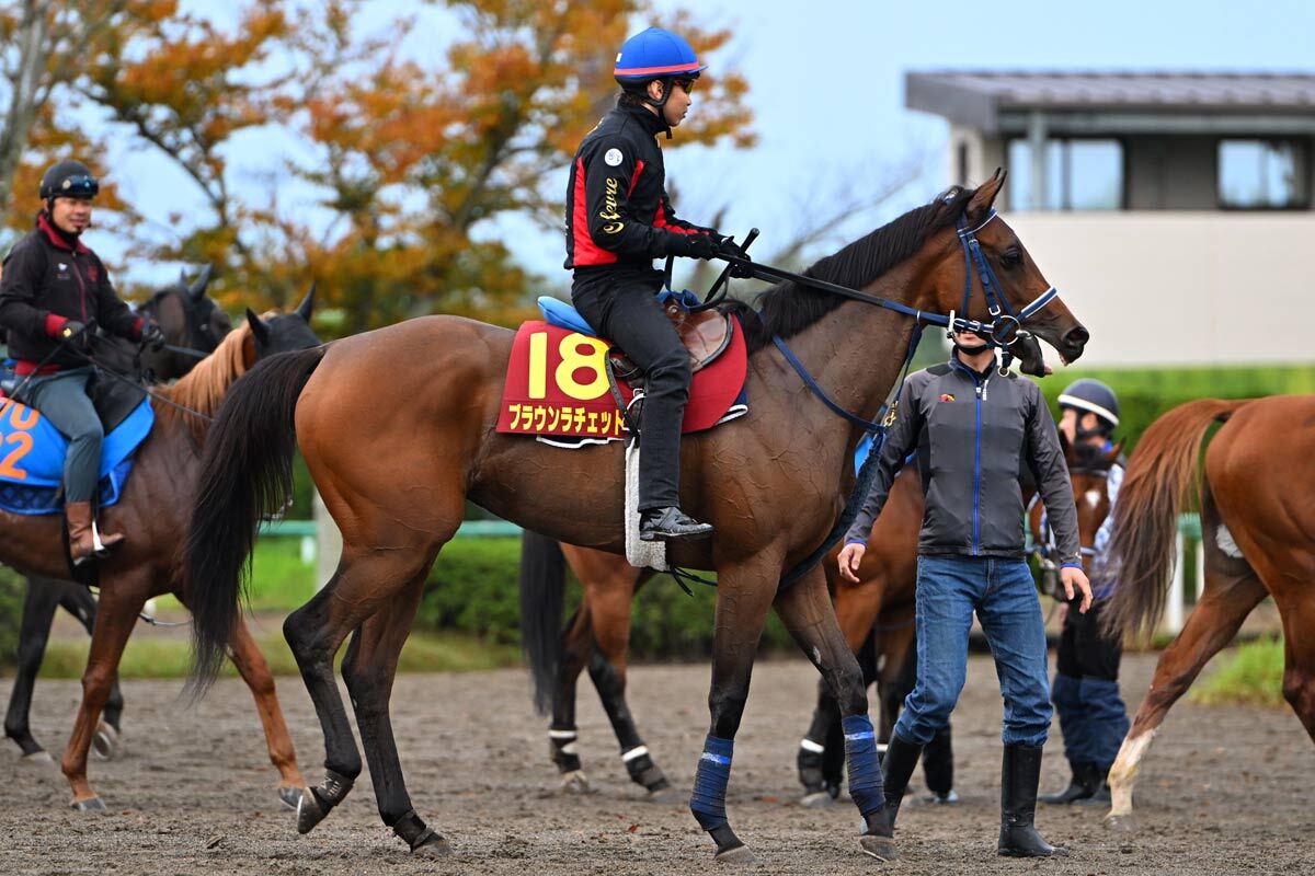 秋華賞大敗のブラウンラチェットは1・24小倉牝馬Sで巻き返しへ【次走報】（東スポ競馬） - Yahoo!ニュース