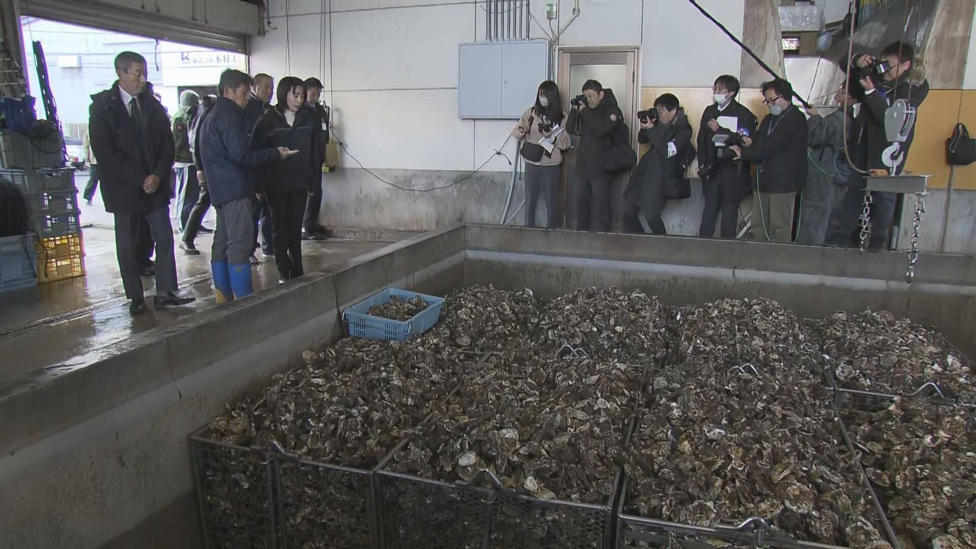 「早急に対処していかなければ」横田知事カキ業者を視察 広島（HOME広島ホームテレビ） - Yahoo!ニュース