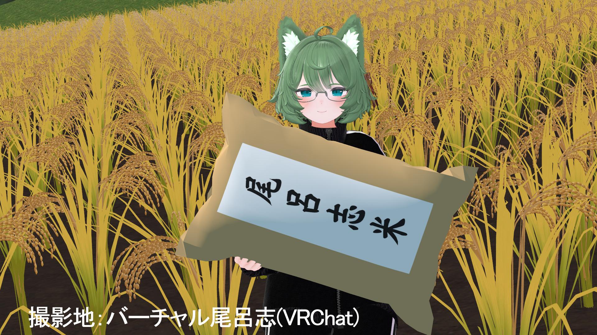 全体平均価格4247円/5kg…小売店の業態別で見た米の価格動向(10月24日発表分)（不破雷蔵） - エキスパート - Yahoo!ニュース