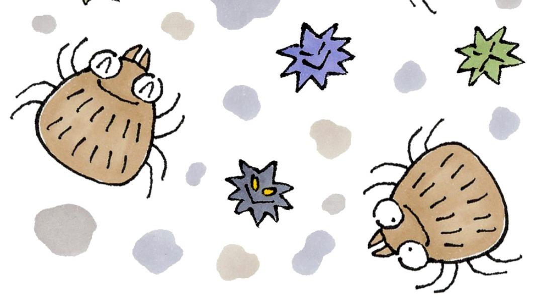 ダニ類が媒介する「人獣共通感染症」、特に「SFTS」の特徴とは #エキスパートトピ（石田雅彦） - エキスパート - Yahoo!ニュース